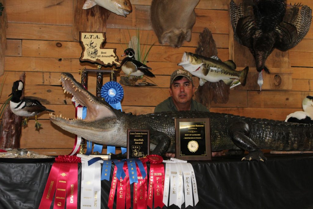 Alligator Taxidermy | American Wildlife Studios Taxidermist