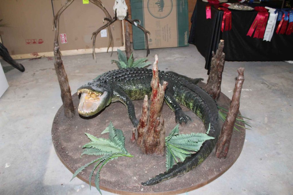 Alligator Taxidermy | American Wildlife Studios Taxidermist