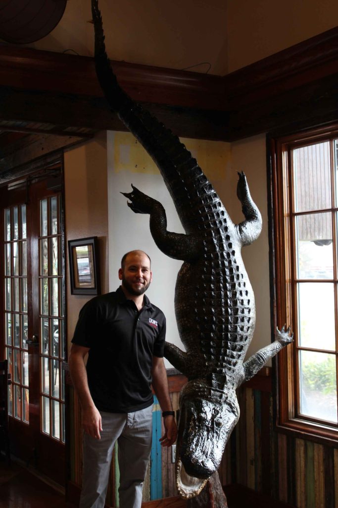 Alligator Taxidermy | American Wildlife Studios Taxidermist